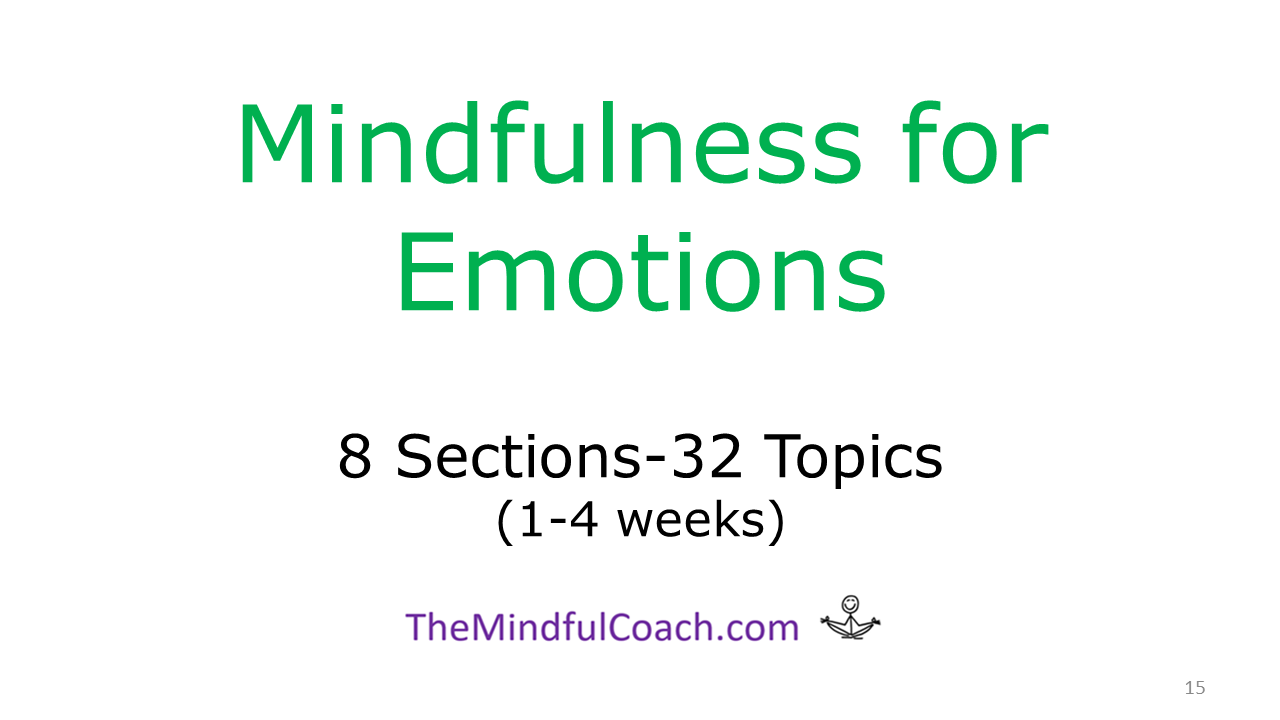 Mindfulness for Emotions | Mindfulness Training Mindfulness for Emotions | Mindfulness Training