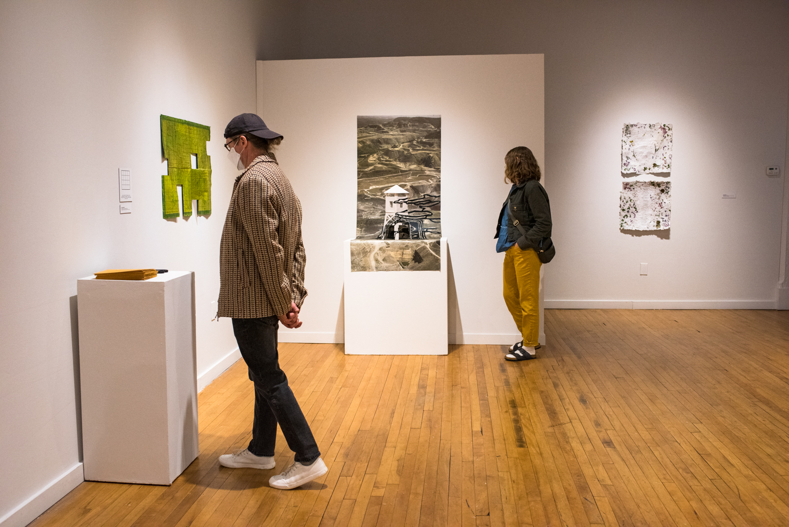 SKIN: 2021 BFA in Studio Art Capstone Exhibition - Sam Fox School of ...