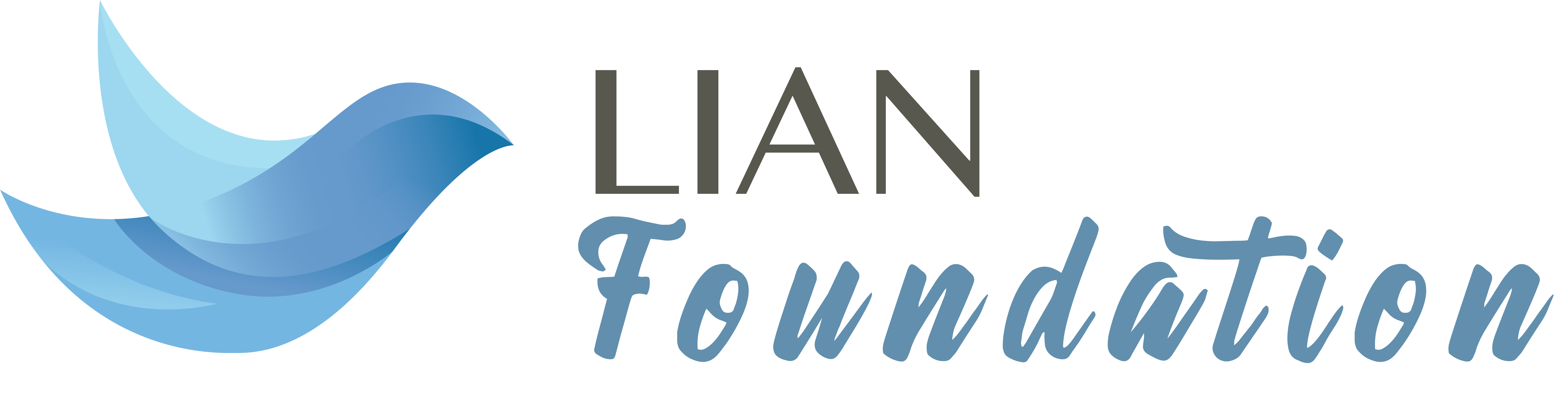 Give through LIAN Foundation and help high social impact initiatives ...