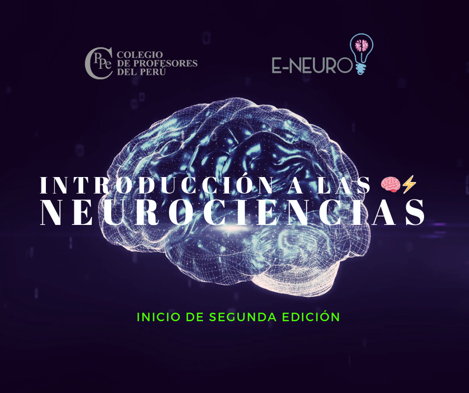 Introducción A Las Neurociencias E Neuro