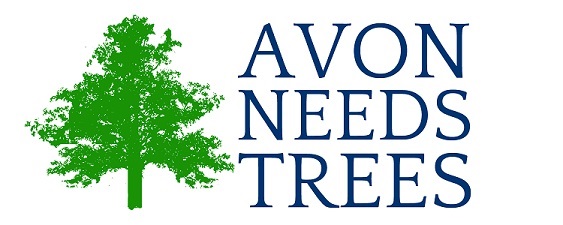 Avon Needs Trees | Avon Needs Trees (Powered by Donorbox)