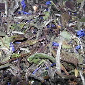 Caribbean Rum Punch Tea by Butiki Teas — Steepster