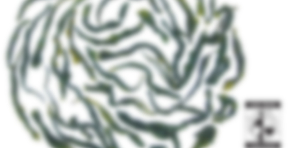 Jade Cloud Tea by Rishi Tea — Steepster Jade Cloud Tea by Rishi Tea — Steepster