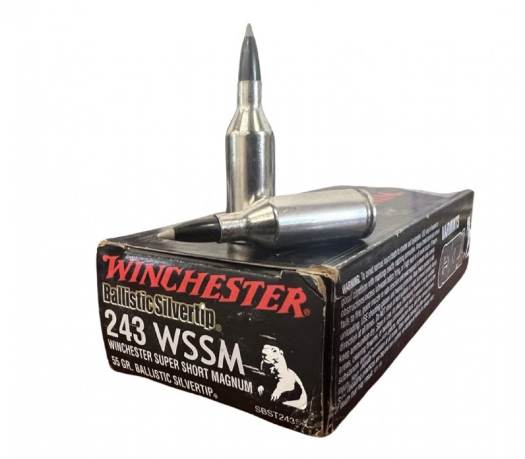 243 WSSM - Winchester Ballistic silvertip 55 grain- 20 Round box | FlipAmmo | Lorton | 22191