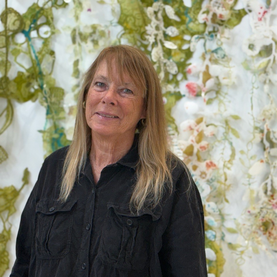 Professor Emerita Joan Hall elected co-chair - Sam Fox School of Design ...