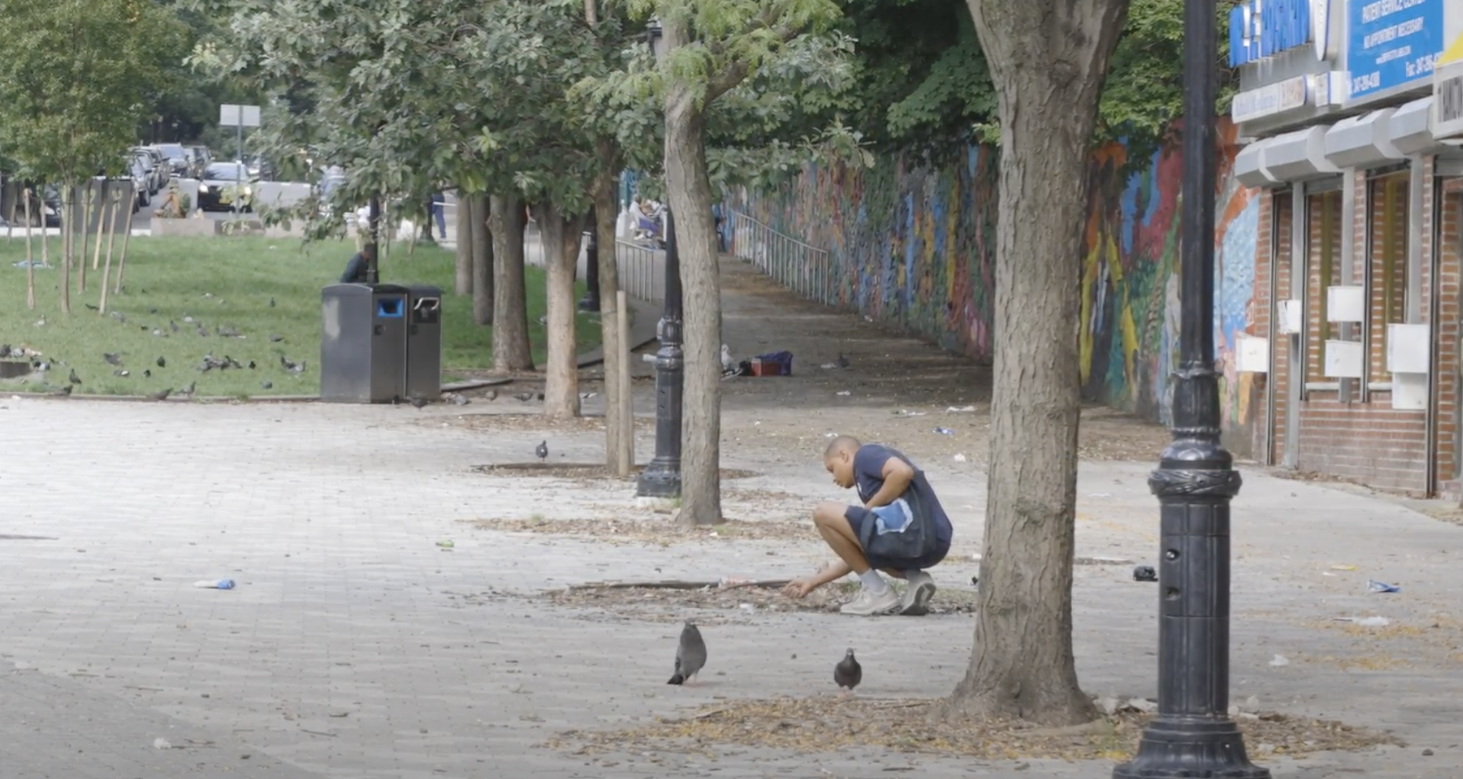 Forage for Materials with Devin N. Morris - MoMA PS1