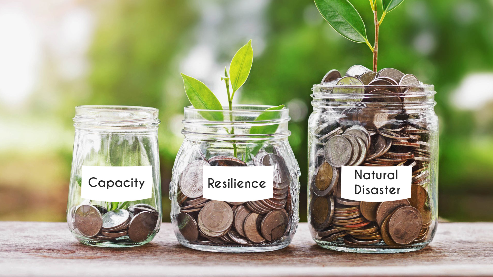 Disasters: Deconstructed Jargon Jar | Disasters: Deconstructed Podcast ...