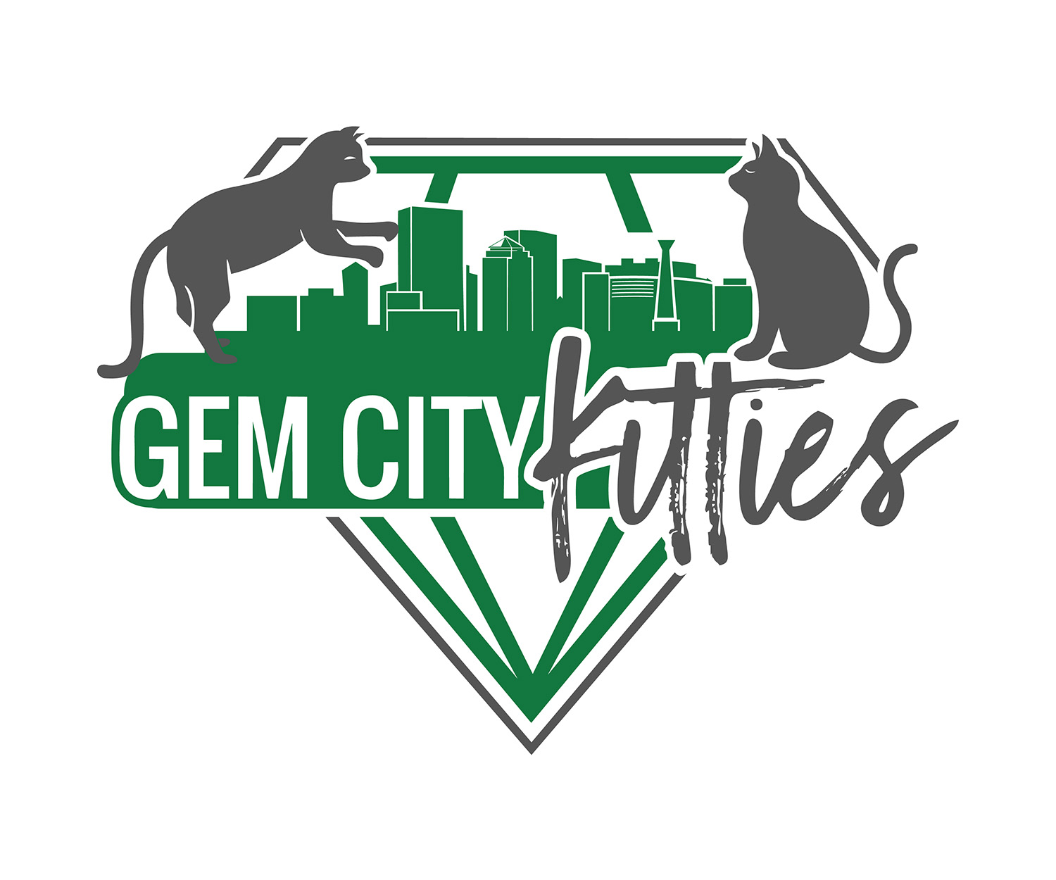 TNR Surgery Fund | Gem City Kitties (Powered by Donorbox)