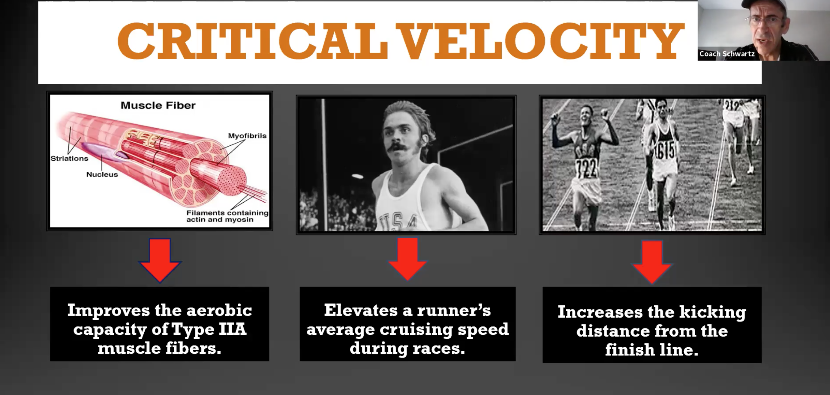 May 2020 Webinar Series | Part #2: Critical Velocity Training | Tinman May 2020 Webinar Series | Part #2: Critical Velocity Training | Tinman