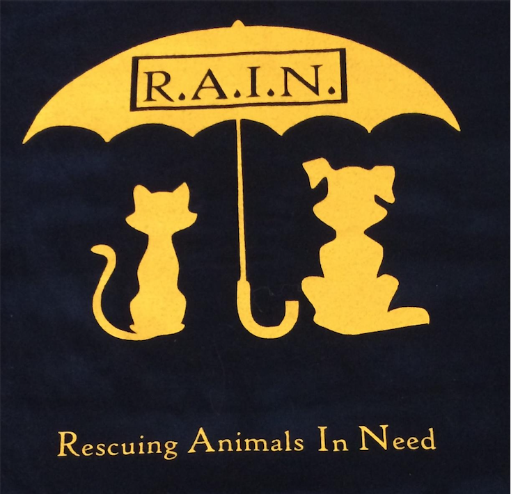 RAIN Rescue | Rain Rescue (Powered by Donorbox)