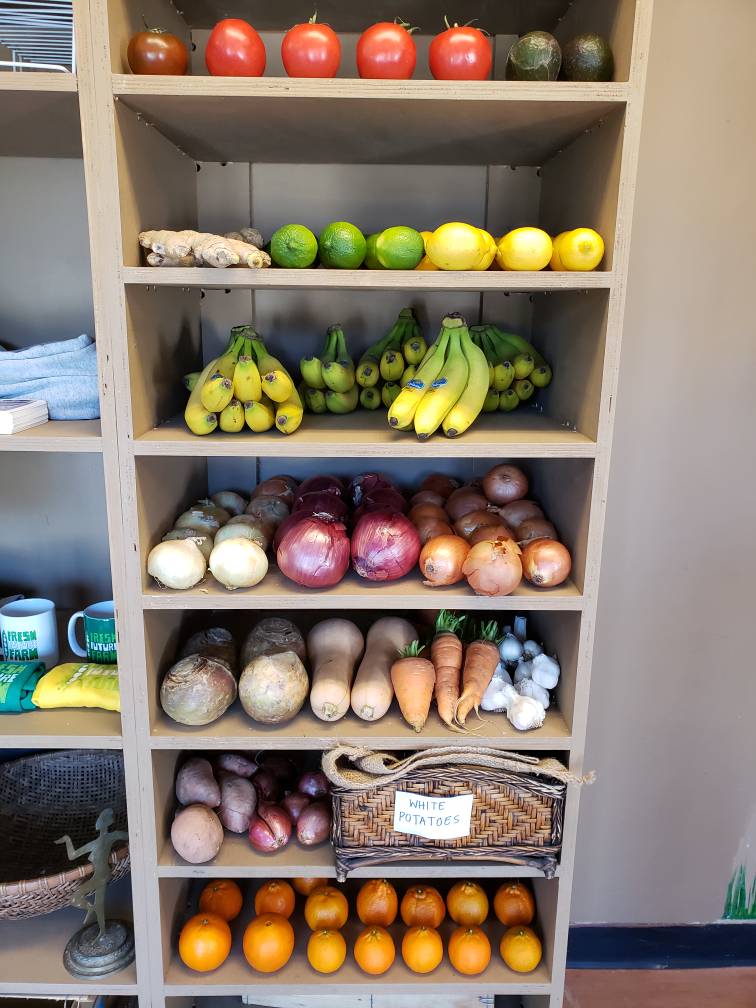 Sow Good Roots | Fresh Future Farm (Powered by Donorbox)