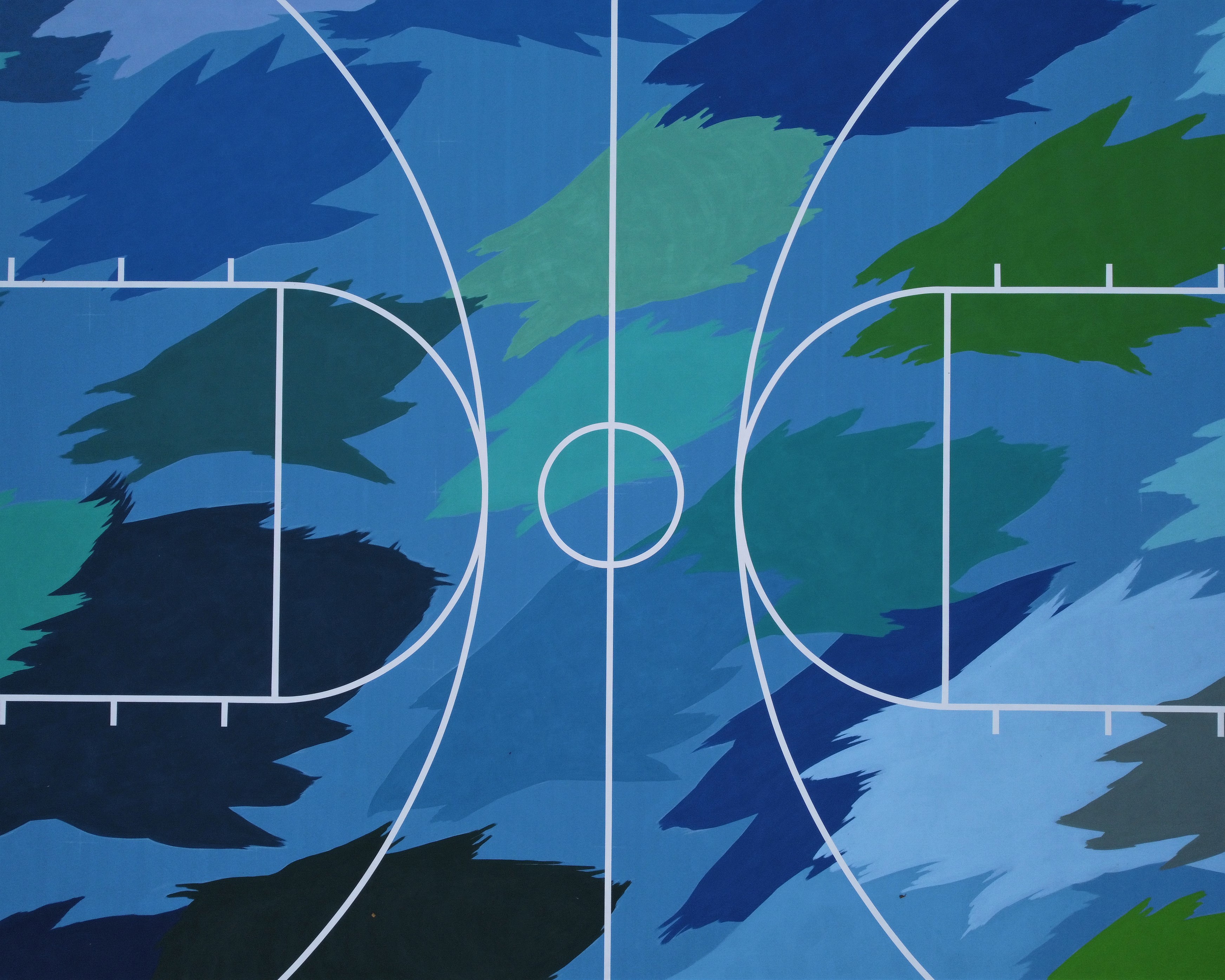 Celebrating Hock E Aye Vi Edgar Heap of Birds' Painted Basketball ...