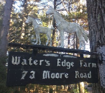 Farm | The Water's Edge (Powered by Donorbox)