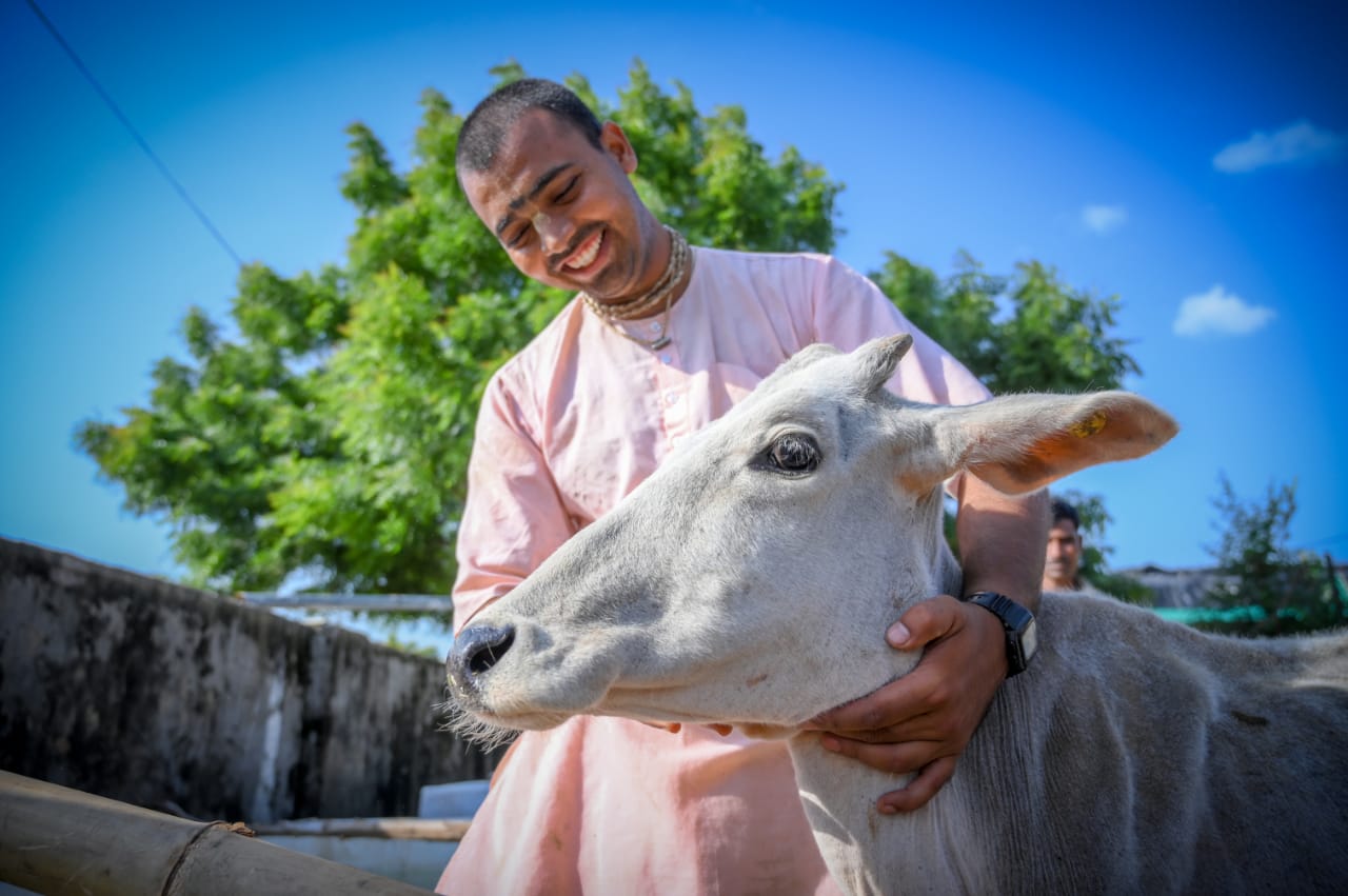 Feeding 20000 Cows is not a cause, its our social responsibility | Sri ...