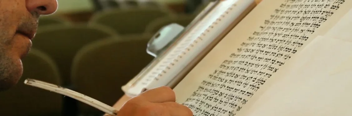 NEW SEFER TORAH CAMPAIGN | Tzimtzum, The Source of Light (Powered by ...