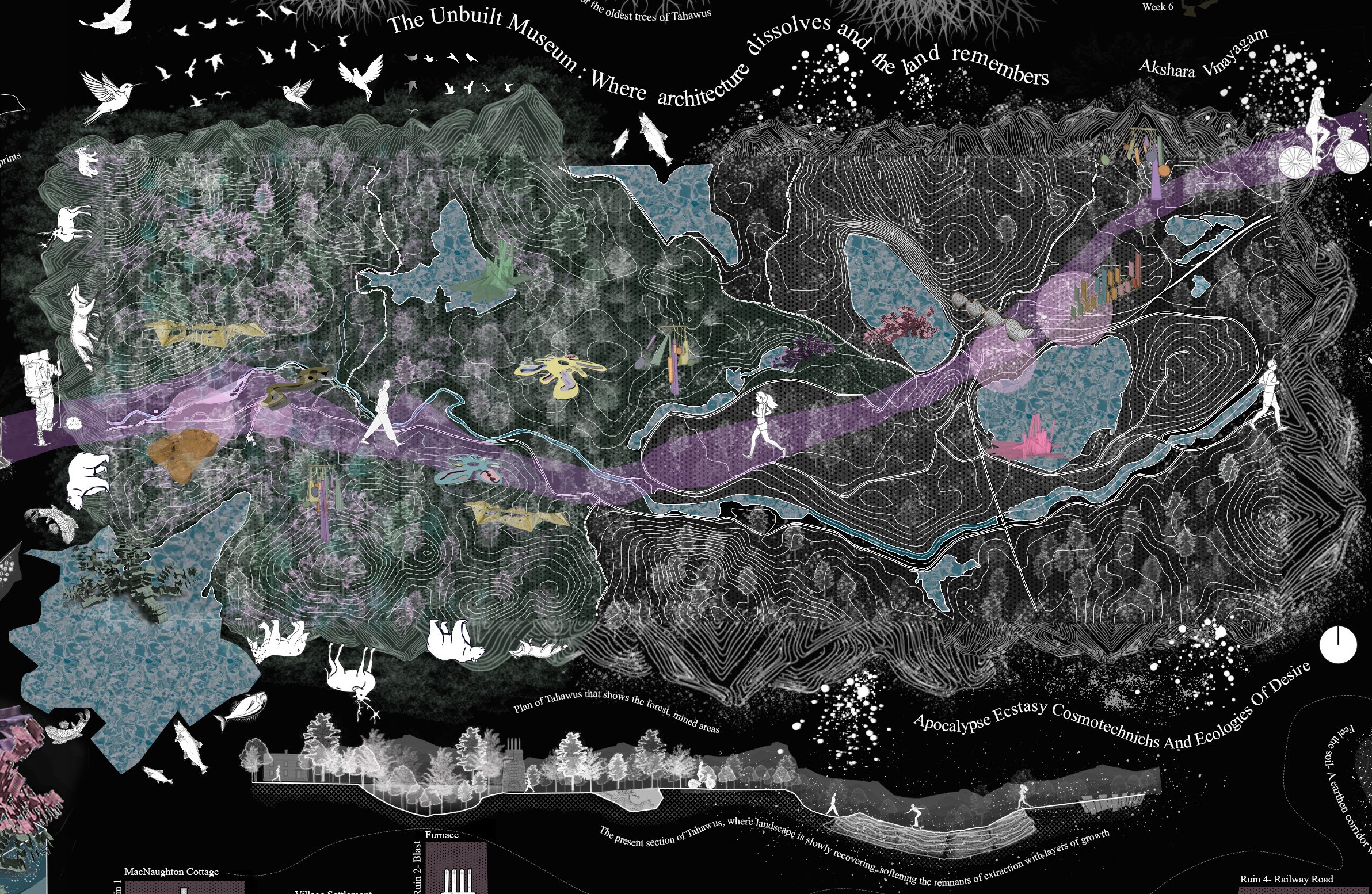 The Unbuilt Museum: Where Architecture Dissolves And The Land Remembers - Columbia GSAPP