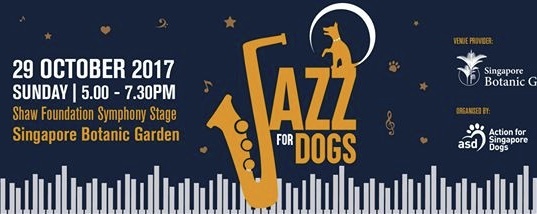 Jazz For Dogs | Bandwagon | Music media championing and spotlighting