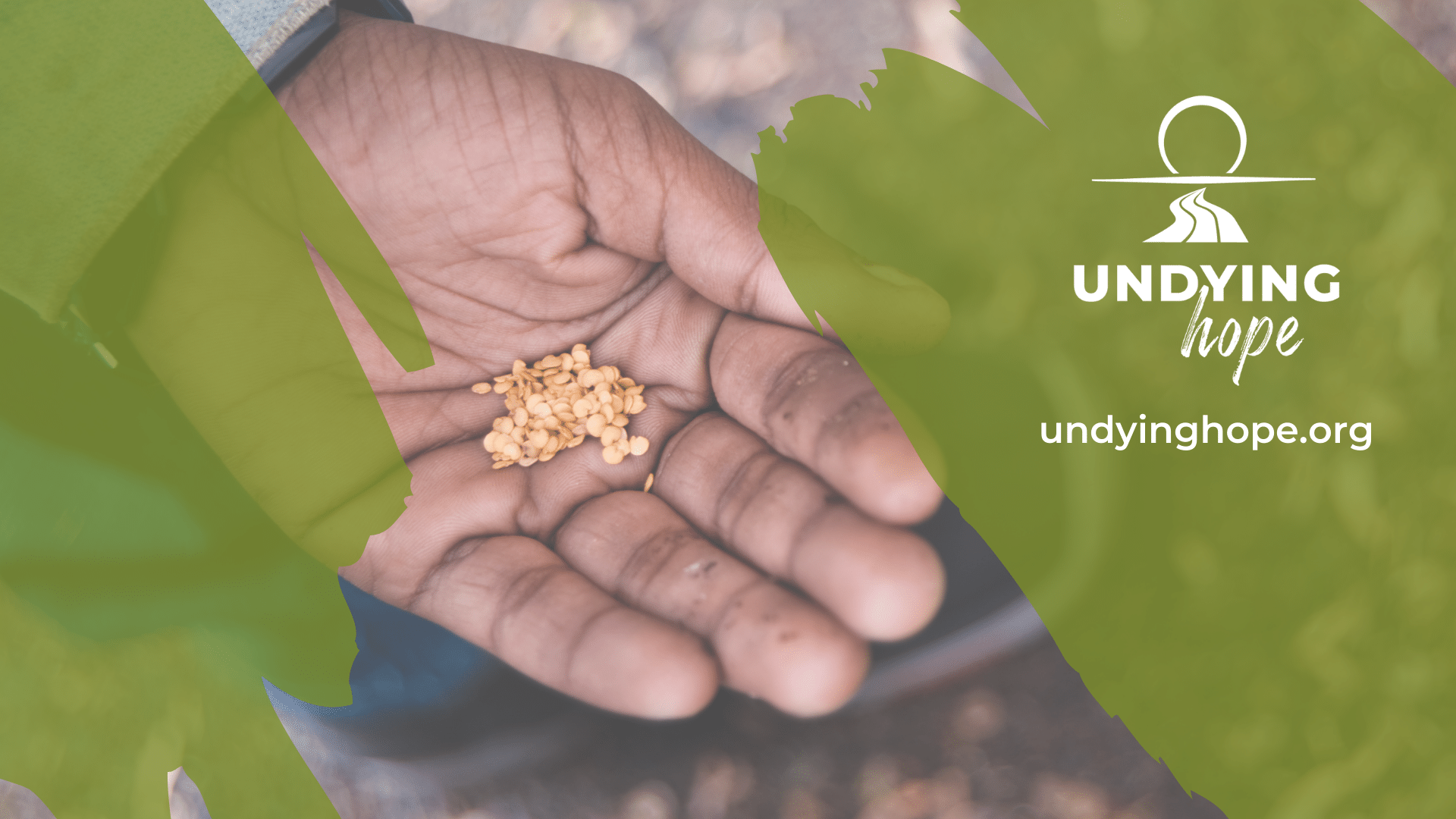 Seeds of Hope | Undying Hope International (Powered by Donorbox)