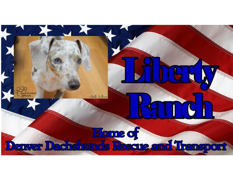 Liberty Ranch Custom Ink Fundraising